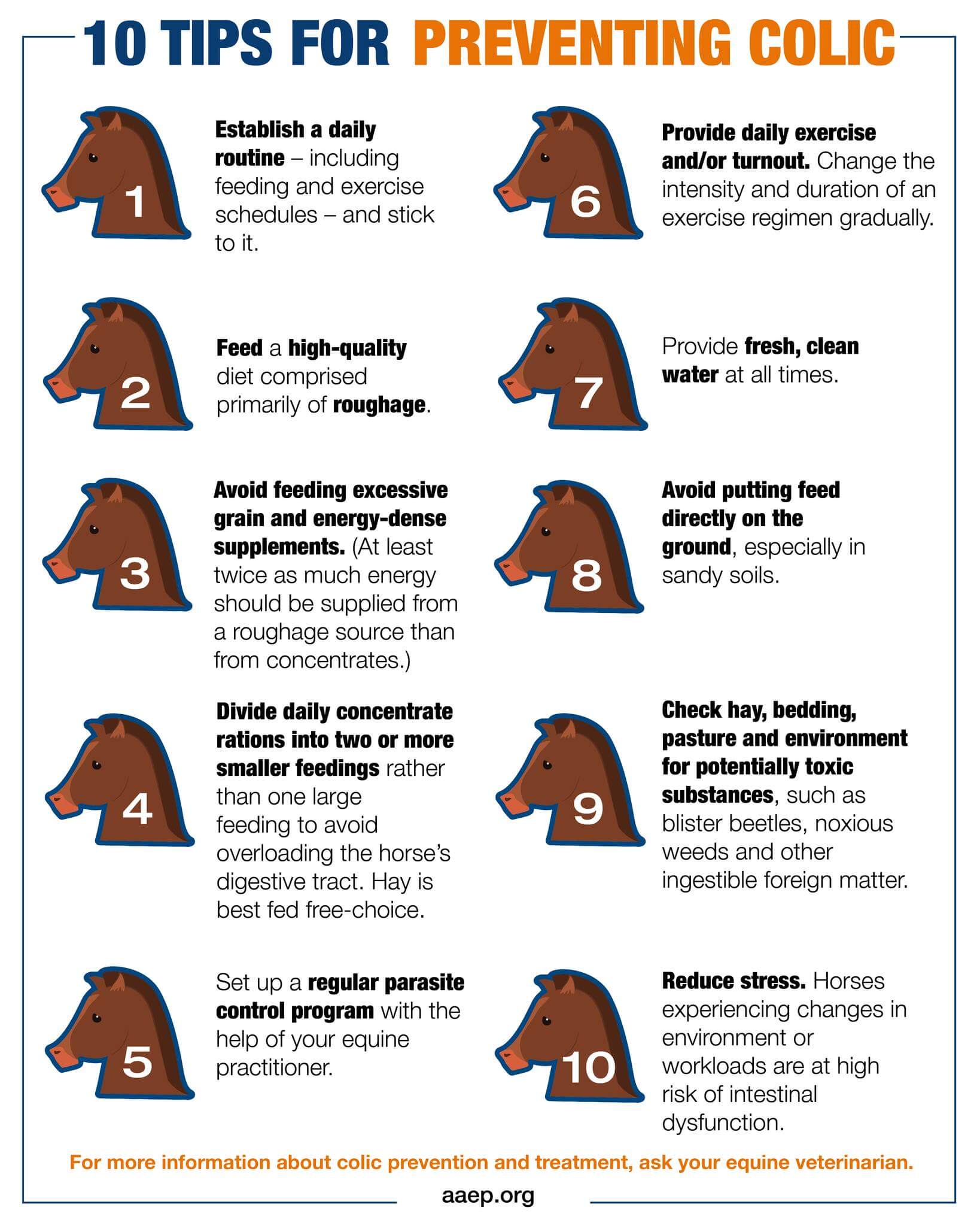 10 Tips for Preventing Colic - Oregon Horse Council