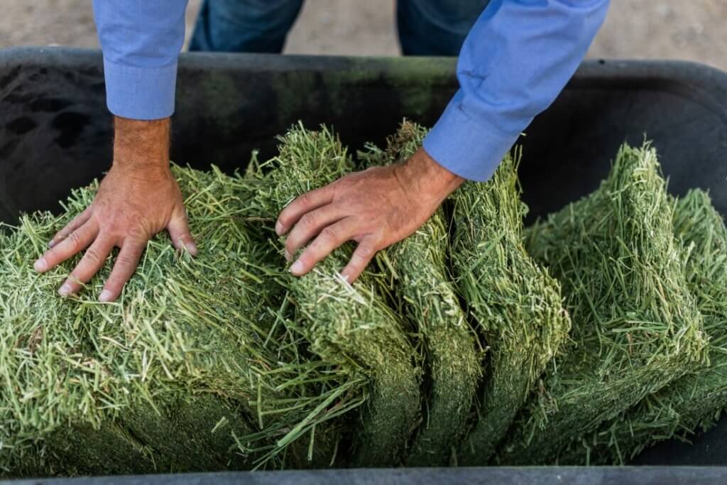 Standlee Premium Products Annual Survey - Oregon Horse Council