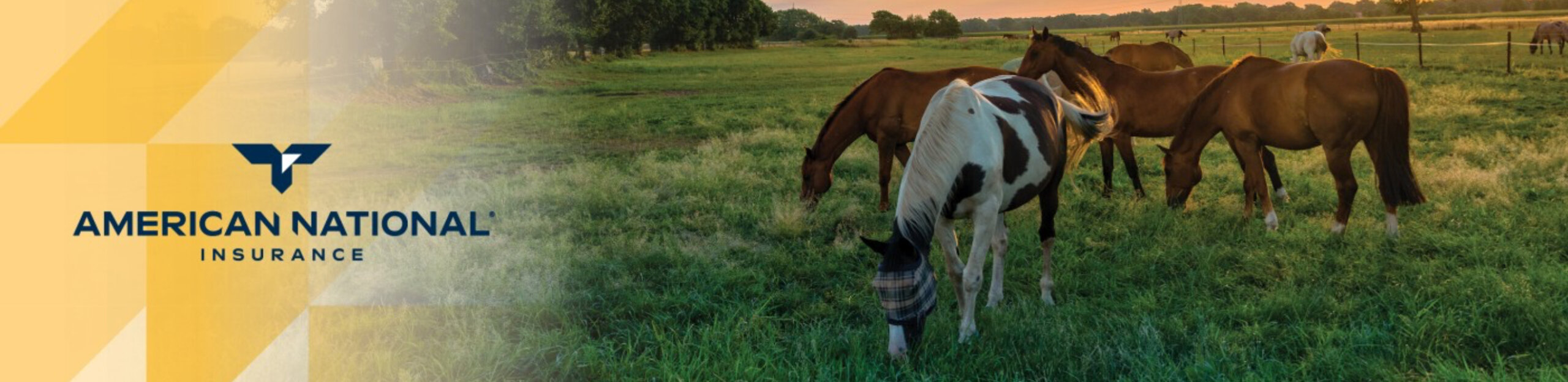 Ed Hamilton Rosales Representing American National Insurance - Oregon ...