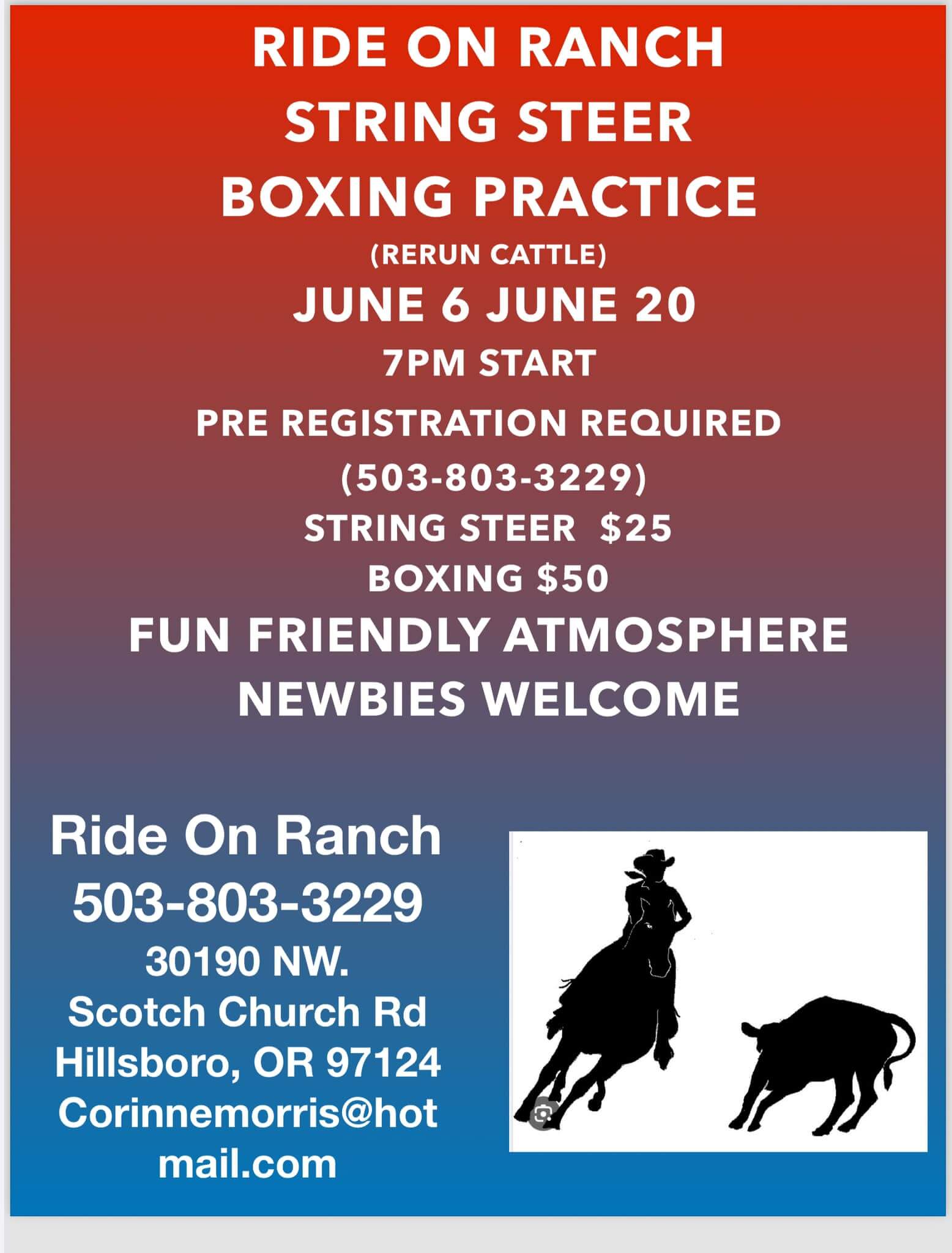 String Steer Boxing Practice - Oregon Horse Council