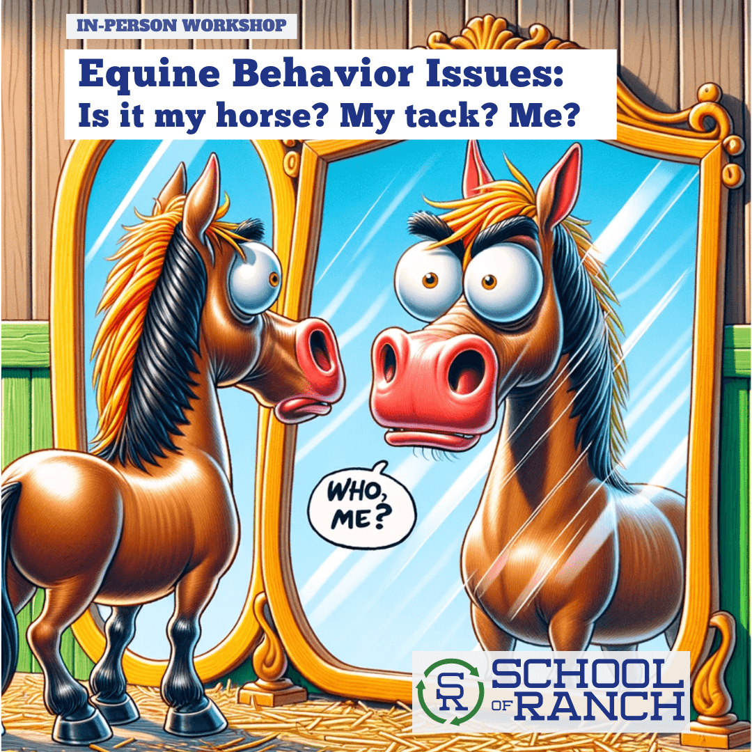 Understanding Equine Behavior Issues - Oregon Horse Council